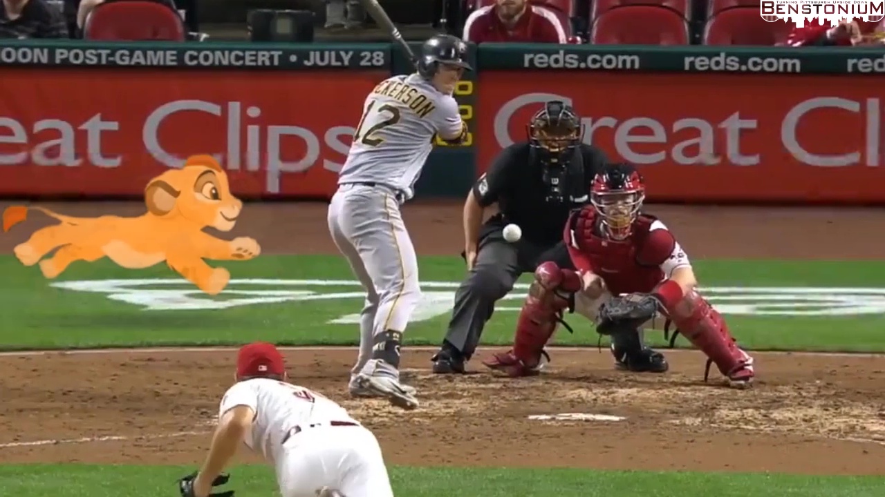 Cat on the Field - "Lion King" / Pirates Mashup | Benstonium Media